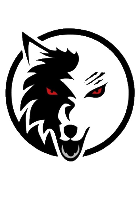 Biographie :: Stone Coyote Officiel